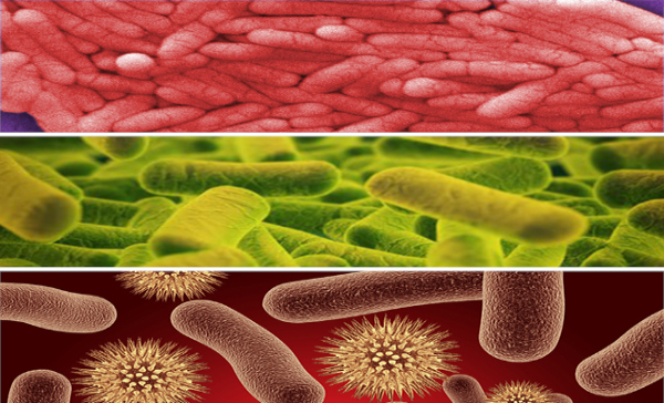 Odour Control - World Environmental Technologies